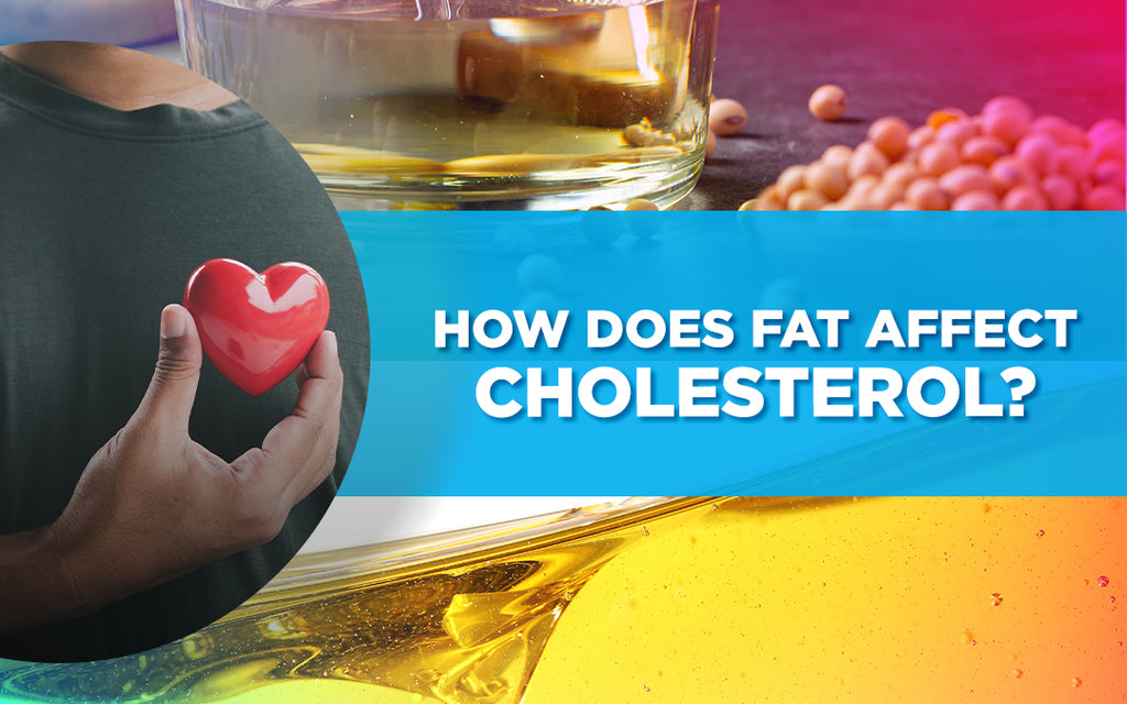 How Does Fat Affect Cholesterol? – Livingood Daily