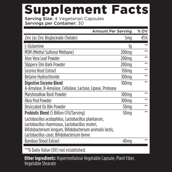 GI Support | Gut Health | Livingood Daily